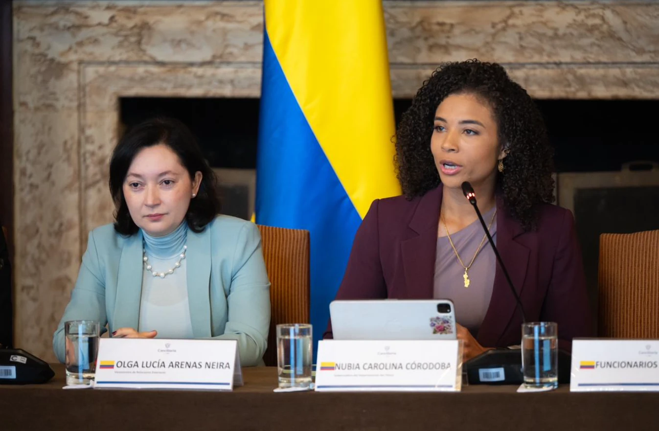 Viceministra de Relaciones Exteriores, Olga Lucía Arenas, preside ...